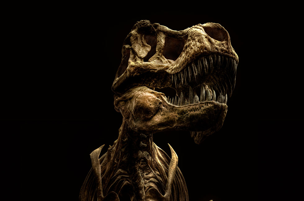 Wanrooij presenteert Christian Voigt's nieuwe expositie Evolution ...