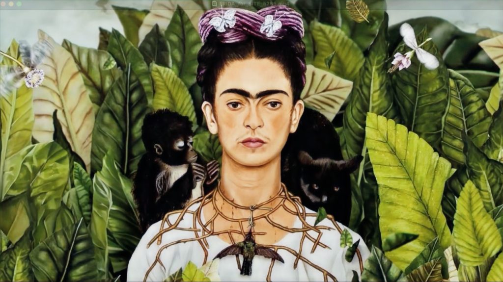 Immersieve Frida Kahlo expositie in Vincent Hall | City Guide