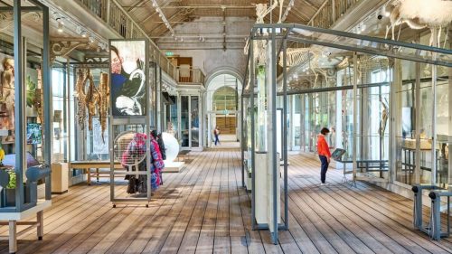 Groote Museum: Discover agreements man and nature | City Guide