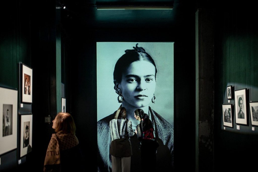 Vincent Hall: 3 immersive exhibits featuring Bosch, Frida and Van Gogh